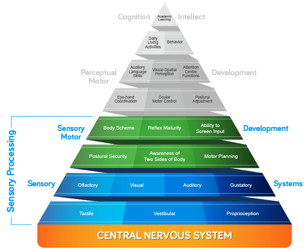 Sensory Processing issues in Children | Dynamics Success Centre